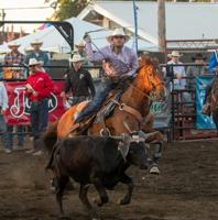 PHOTO GALLERY: High scores thrill fans at 2025 Lynden Rodeo ...