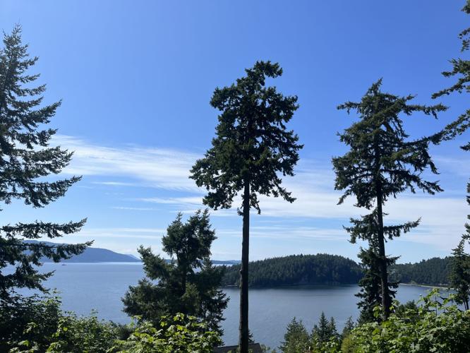 Trails to walk, hike around Whatcom County | Sports | lyndentribune.com