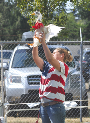 PHOTOS: Northwest Washington Fair | News | lyndentribune.com
