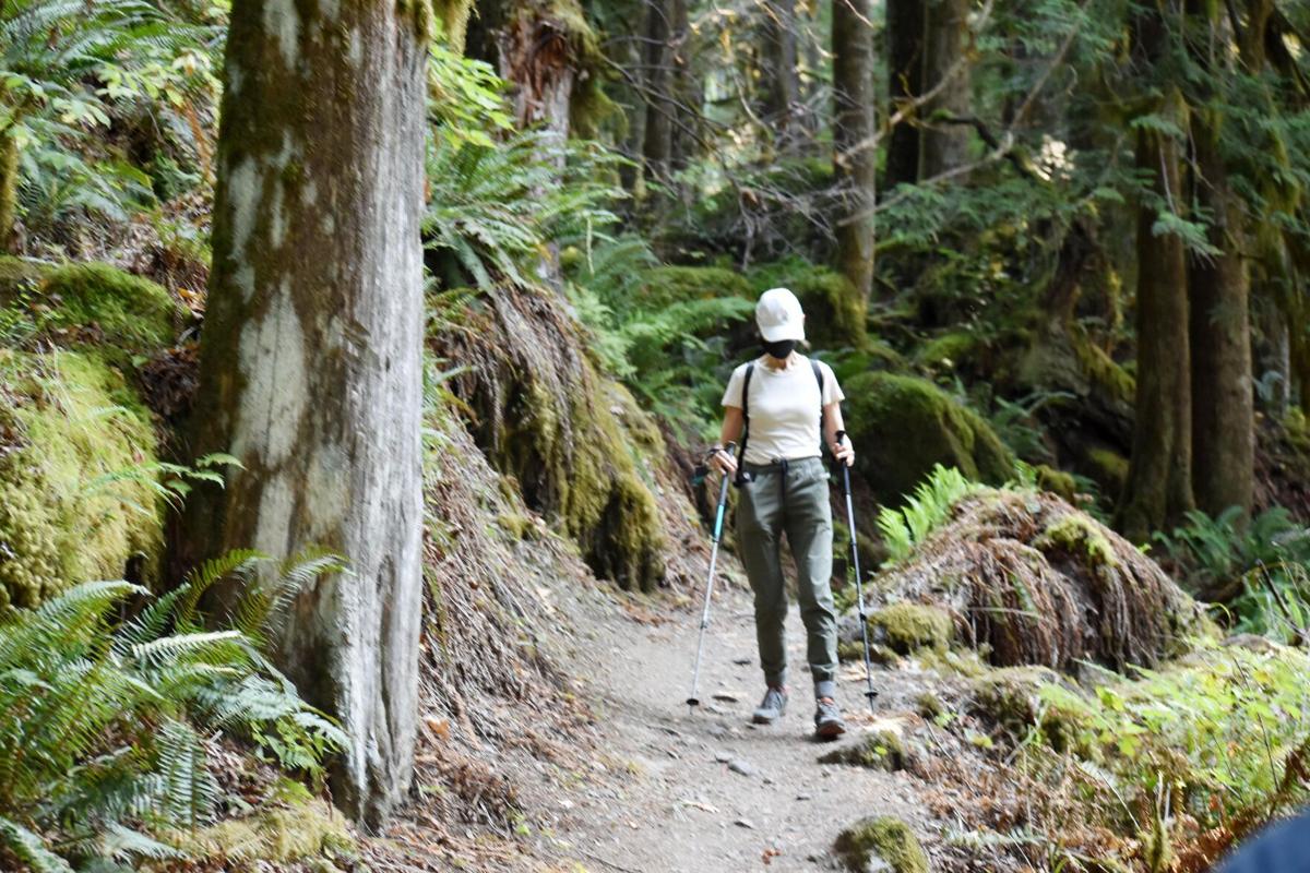 Forest meets Nooksack River in trail passable year long | News ...