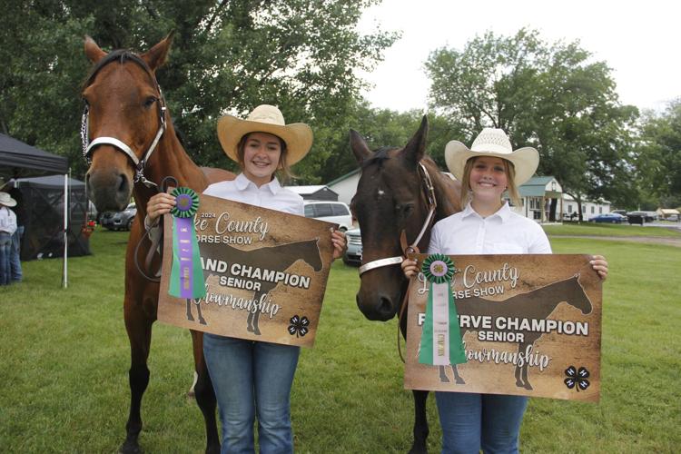 Horse showmen take home ribbons after annual competition | Local News ...