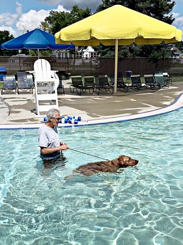 Madison Aquatic Center welcomes furry friends | News ...