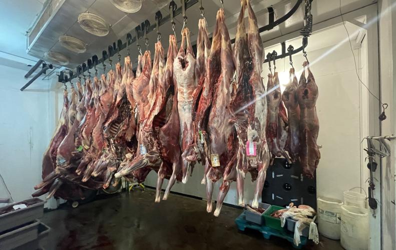 Processing big game gets tricky in South Dakota | Local News ...