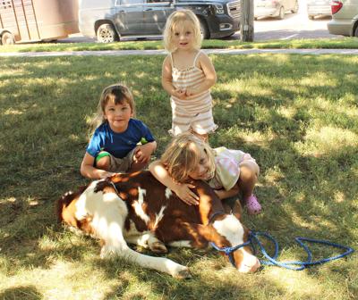 Mart in the Park offers food, vendors and more | News ...