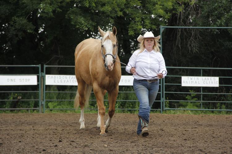Horse showmen take home ribbons after annual competition | Local News ...