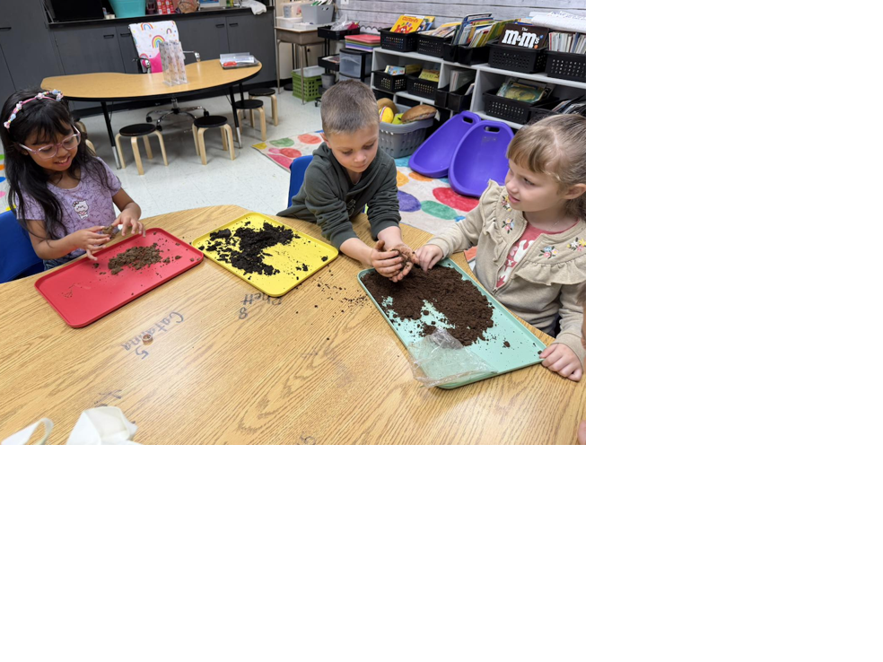 CPS kindergarteners dig into Dino Day | School | mainstreetnews.com