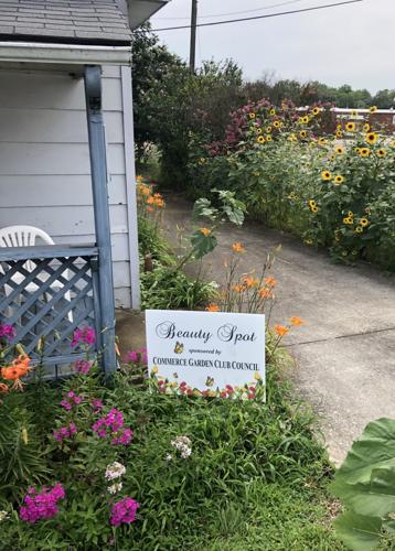 Commerce Garden Club Council awards Beauty Spots for July | Features ...