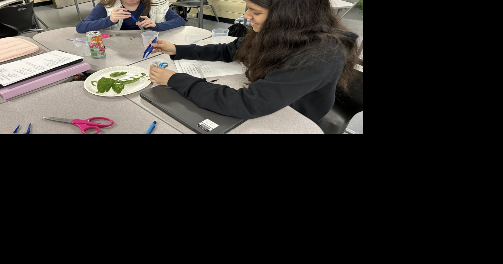 CHS horticulture class holds lab | School | mainstreetnews.com