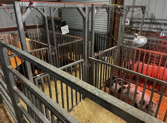 Expanding Ag Access: HireSmart donates $50K for MCHS barn expansion ...