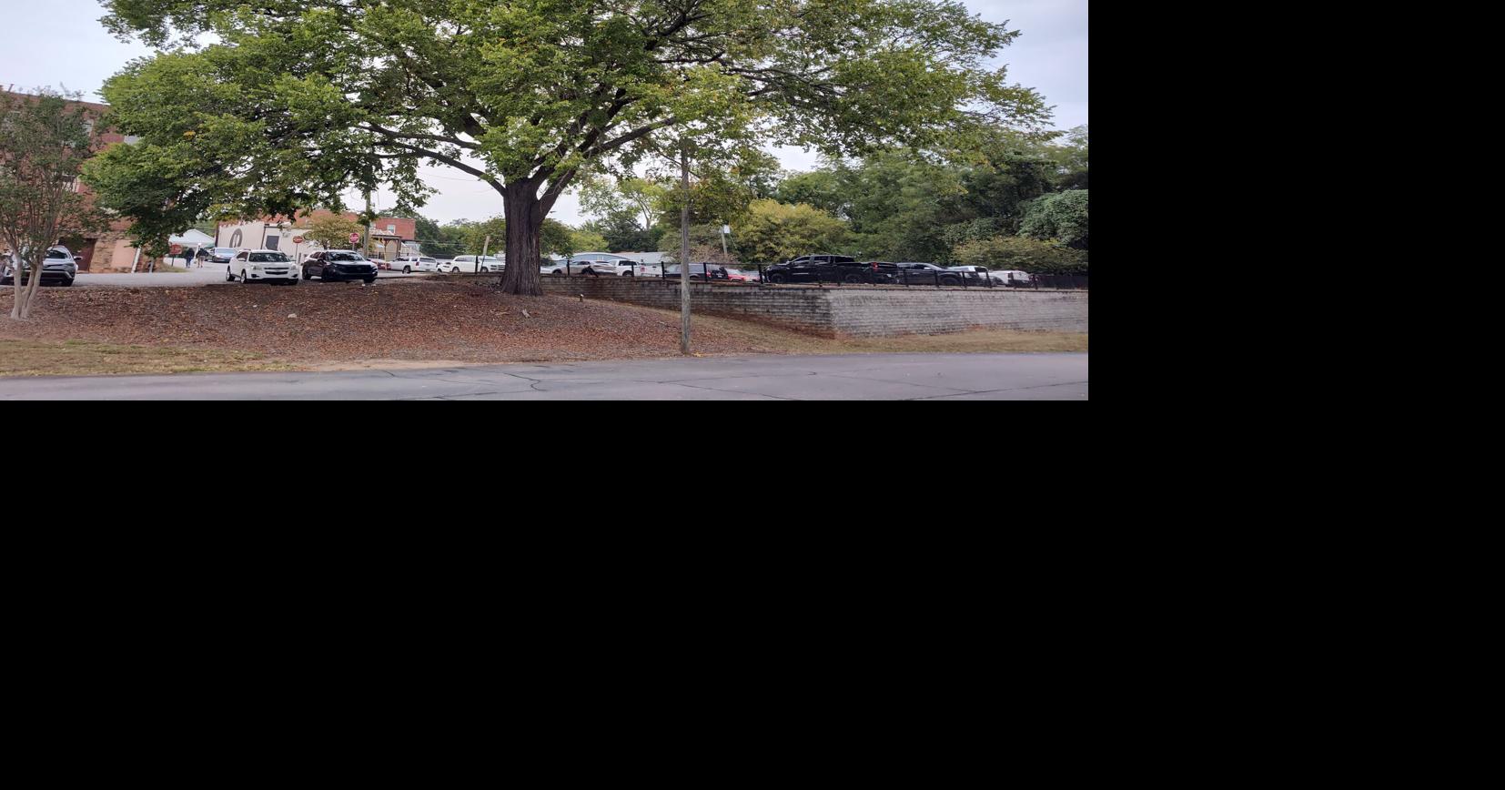 Roots Matter: Jefferson tree council accepting nominations for Heritage ...