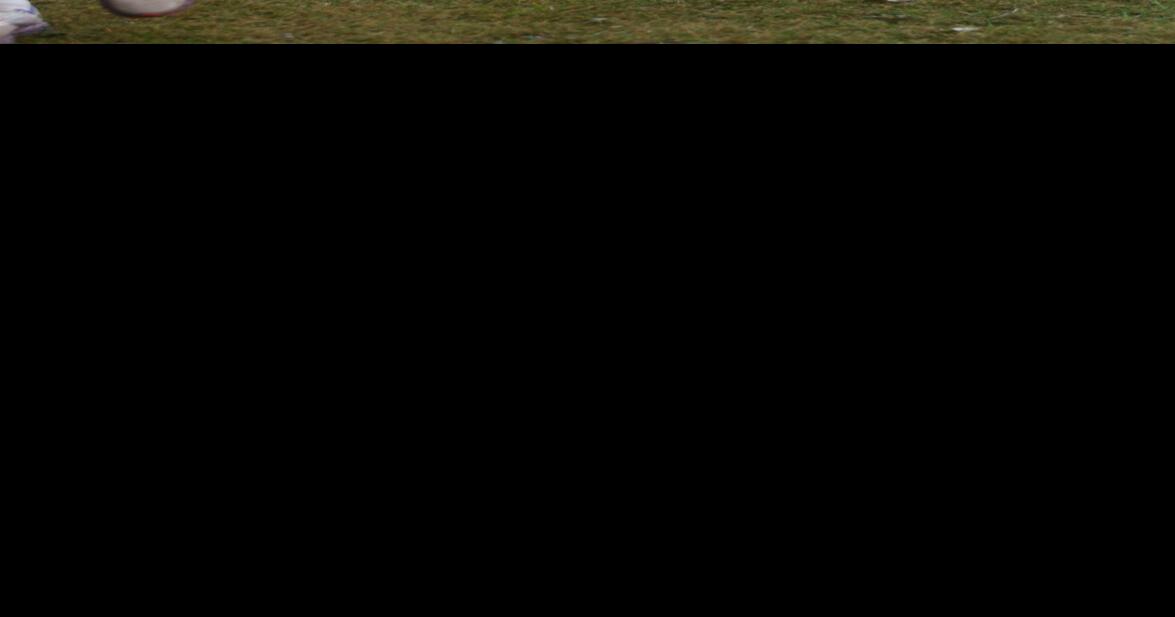 JCHS cross country girls finish fourth at North Oconee | JCCHS Sports ...