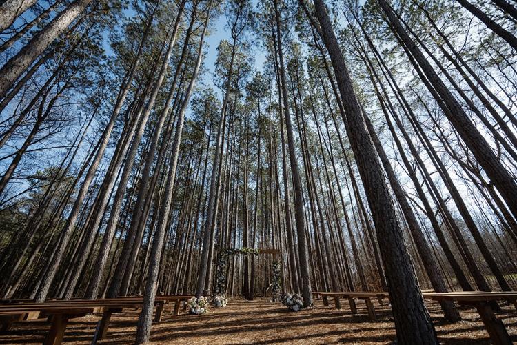 Northeast Georgia’s SpringHaus Farm celebrates one-year anniversary and ...