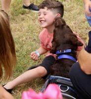 Winder PD introduces community to Lily, the city's first emotional ...