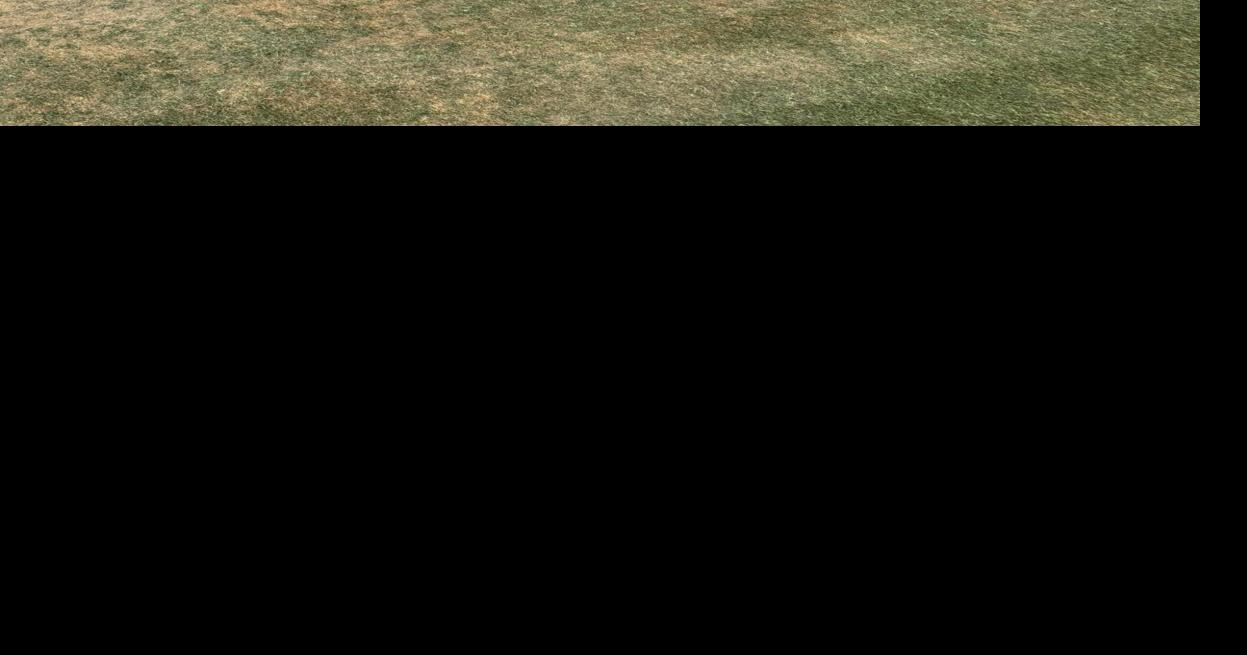 Leopards Baseball State Playoff Run Ends in Sweet Sixteen ...