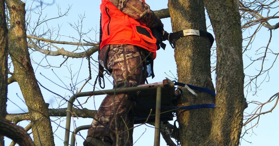 DNR: Tree stand safety rules | Sports | mainstreetnews.com