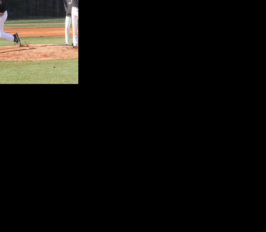 Baseball preview: Leopard baseball hit the bases together for new ...