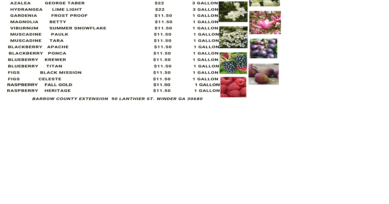 Barrow County 4-H Spring Plant Sale orders due March 29 | News ...