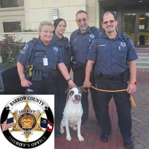 Barrow News-Journal | mainstreetnews.com