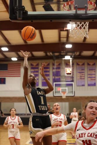 jayla collins.jpeg | | mainstreetnews.com