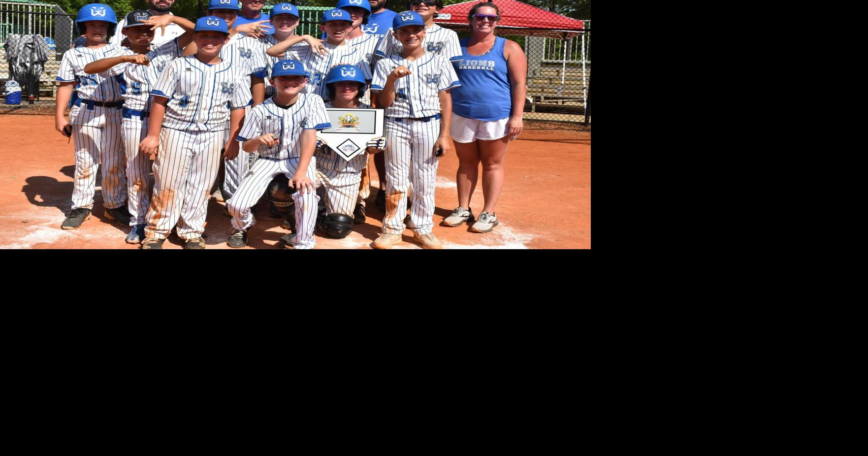 Winder Lions 12U wins Championship | Barrow News-Journal ...