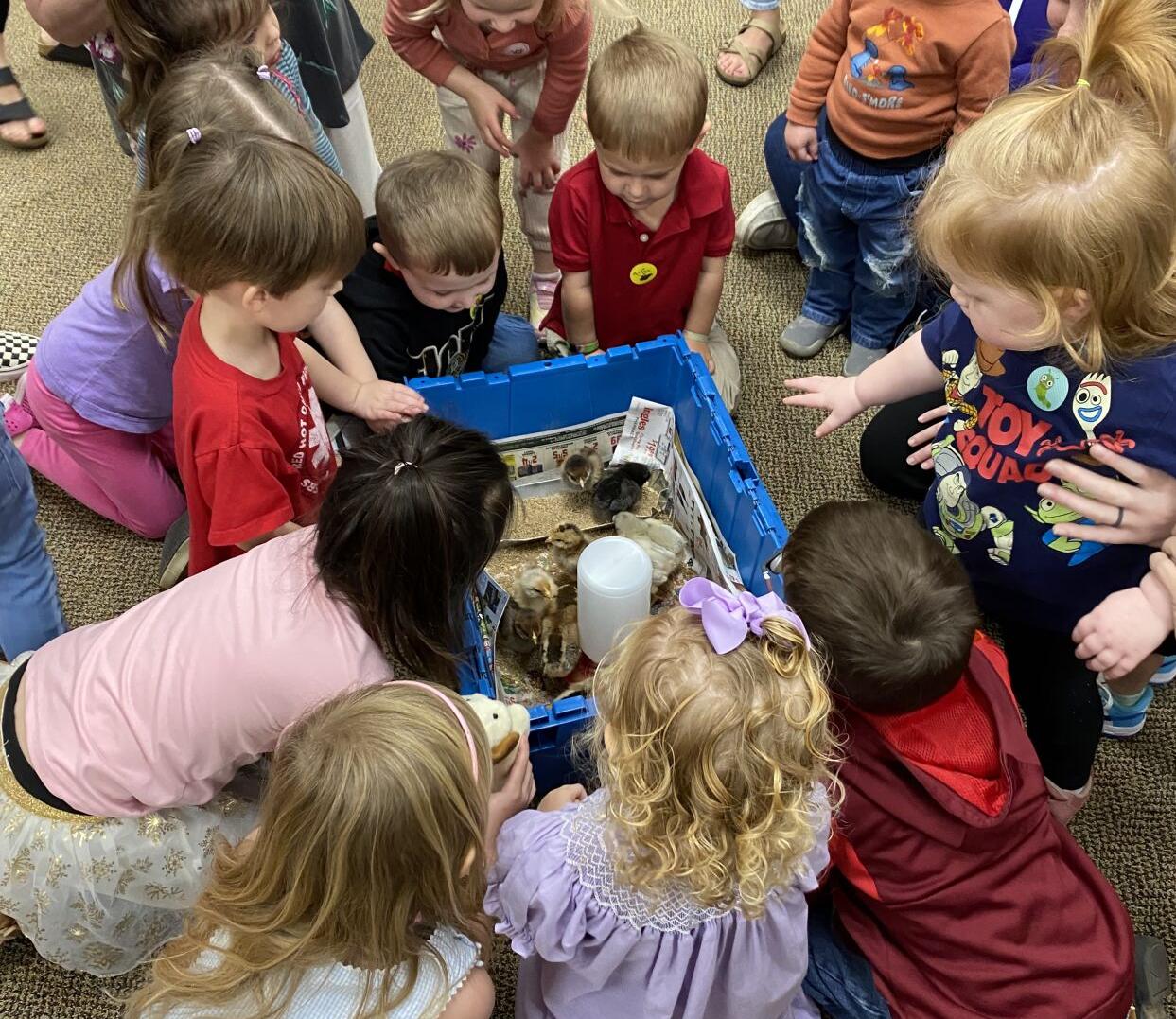 Celebrate National Libraries Week at Commerce library | Features ...