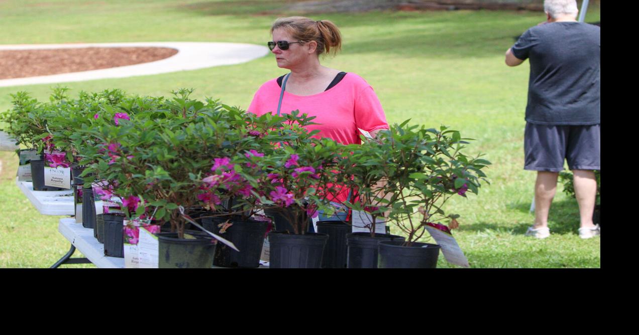 Arcade Azalea Festival in full bloom with family fun | News ...