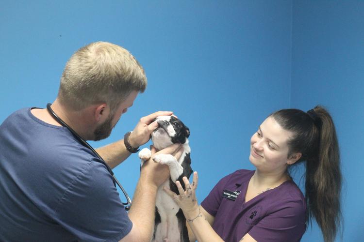 Strickland recognized for work with livestock and pets | News | mainstreetnews.com