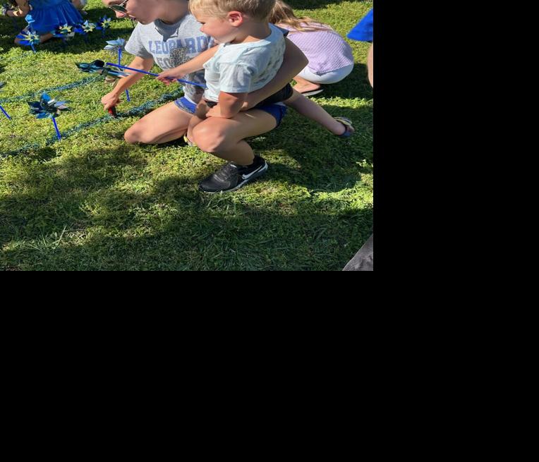 Pinwheel Ceremony shows child abuse cases in area | Public Safety ...