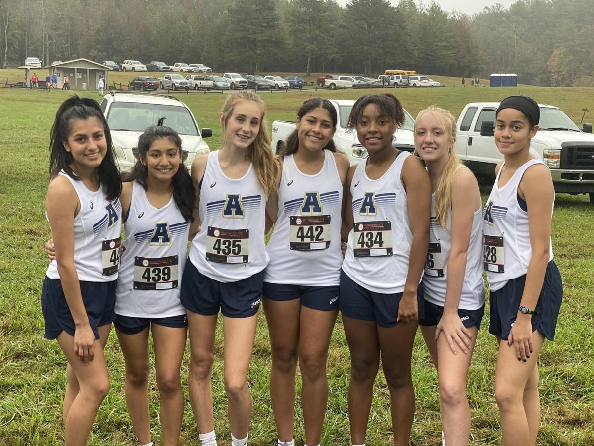 CROSS COUNTRY: Short-handed AHS teams wrap up season at region meet ...