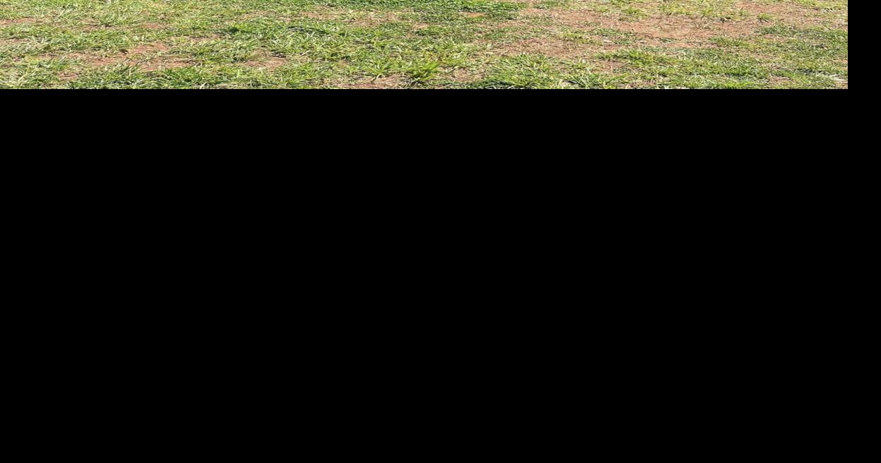 Ribbon cut for Fill Up! Sheds | Features | mainstreetnews.com