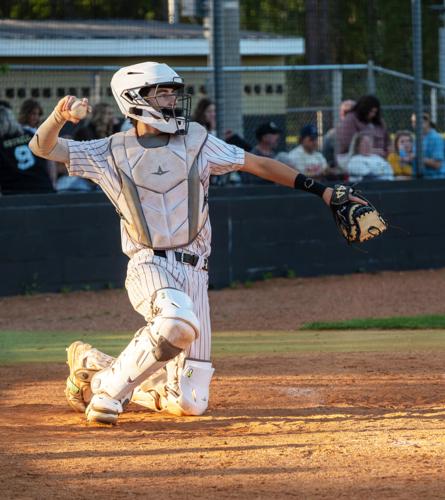 Tigers baseball celebrate Senior Night, close regular season with ...