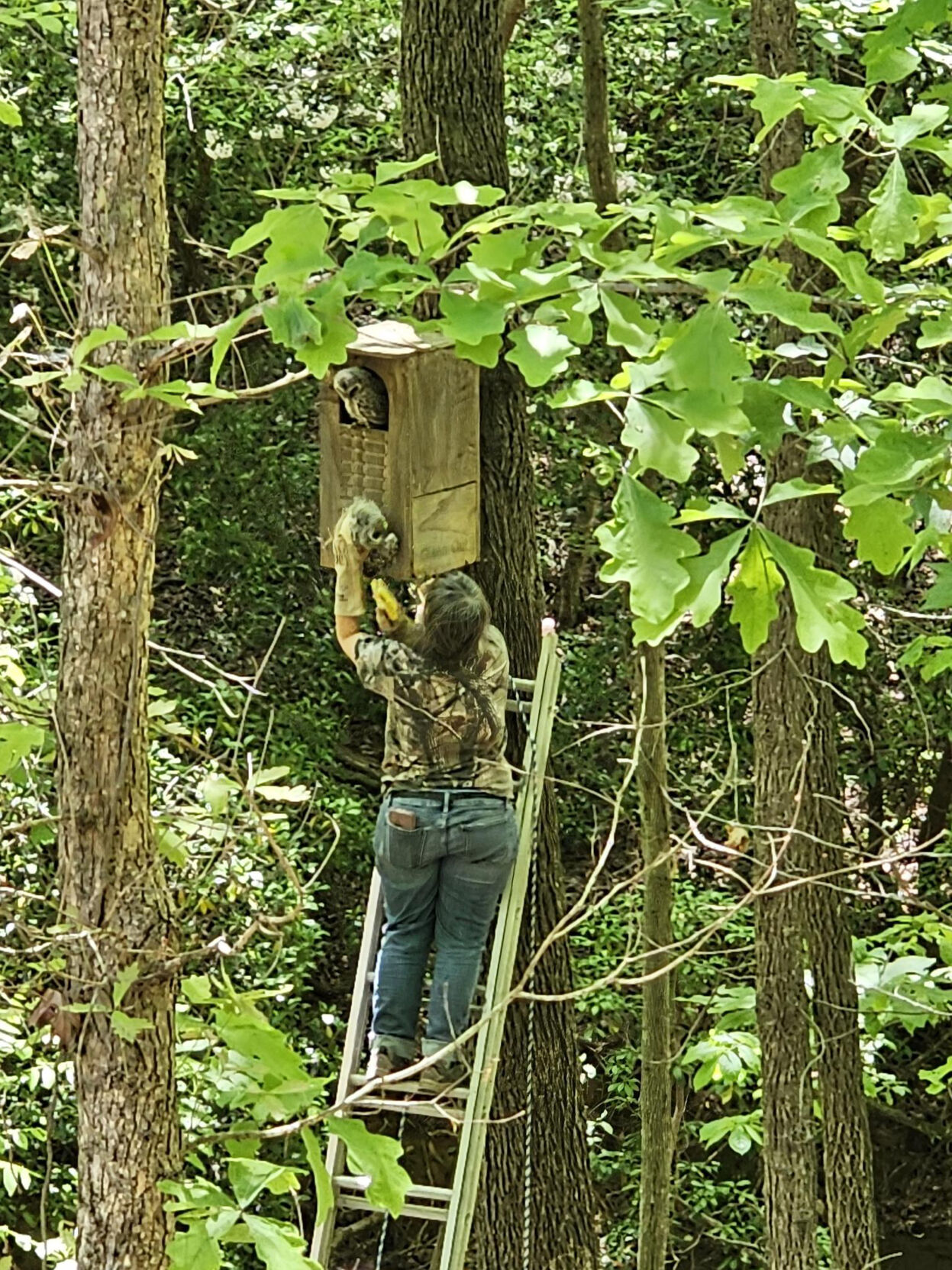DeGrasse offers helping hand to feathered friend | Features ...