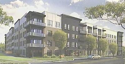 Hall Co. planners recommend denial of Friendship Rd. apartments | News ...