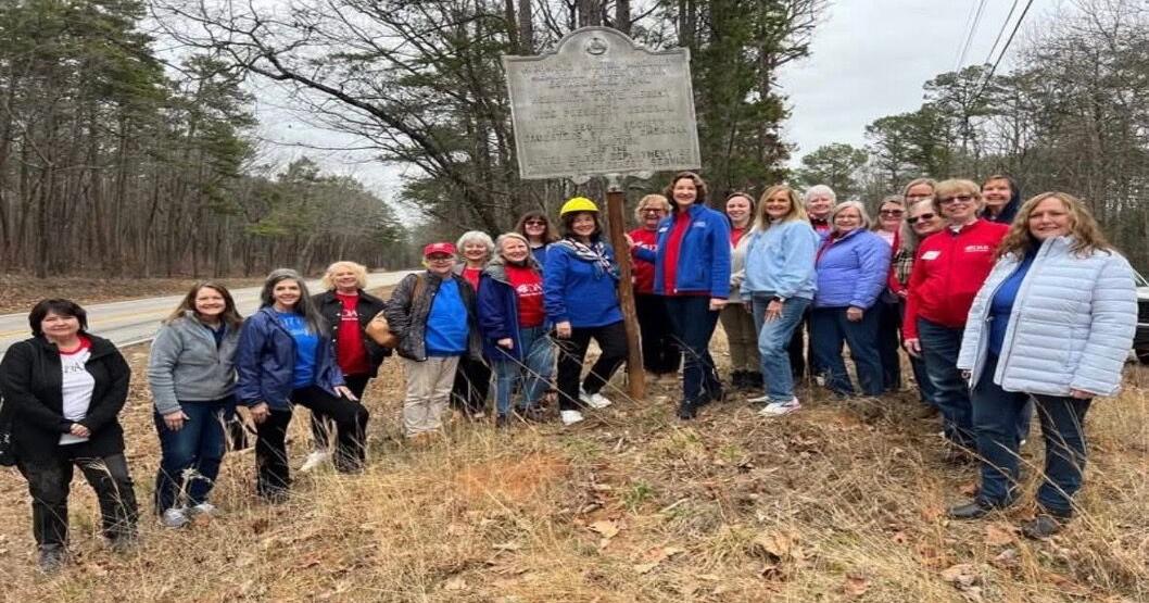 Local DAR chapter visits historic Penny Pines forest in North Georgia ...