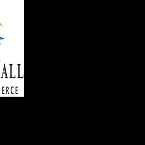 Chamber announces Leadership Hall County Class of 2025 | Features ...