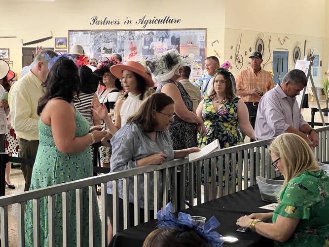 Chamber hosts annual Jackson Derby | Features | mainstreetnews.com