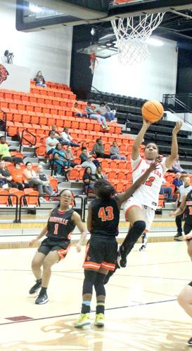 Malvern Lady Leopard Basketball Honors: Hometown hoopster Johnson earns ...
