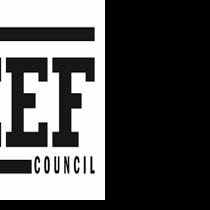 Malvern woman appointed to serve on Arkansas Beef Council | News ...