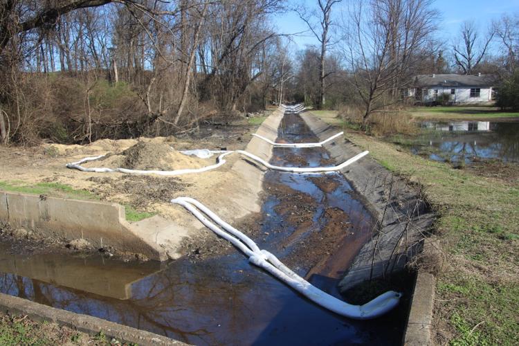 Discharge at Anthony Timberlands, Inc., affects local landowners and ...