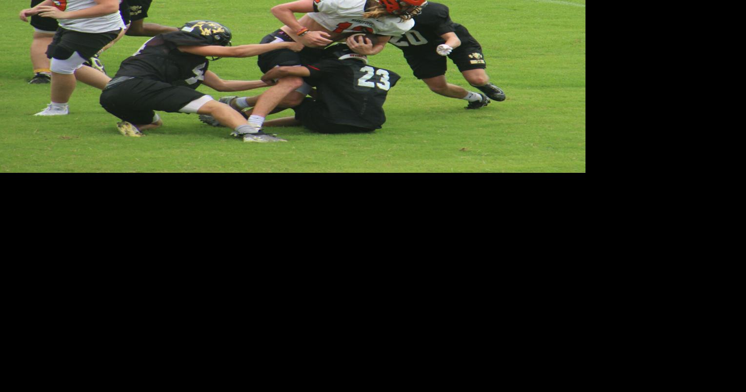 Panthers host team camp at Kenneth W. Hammons Stadium | Sports ...