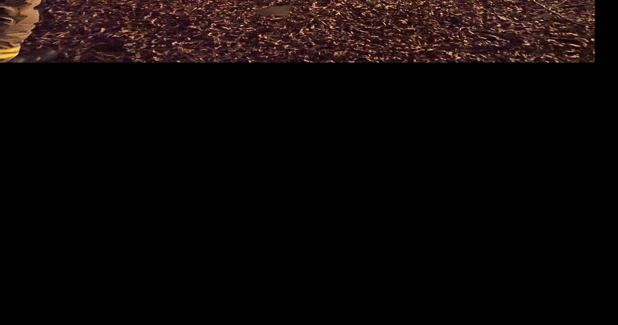 New Year's Day Fire Claims Home, Injures Two in Point Cedar | Photos ...