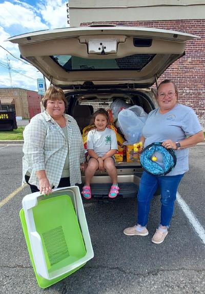 Student collects items for Malvern Animal Shelter | Photos & Videos ...