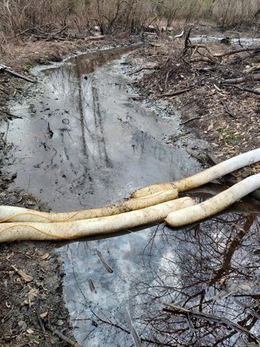 US Rep. Westerman discusses Anthony Timberlands leak | Photos & Videos ...