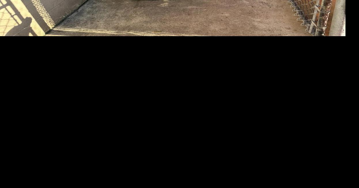 Mayor Weldon lends a hand at the shelter | Photos & Videos | malvern ...