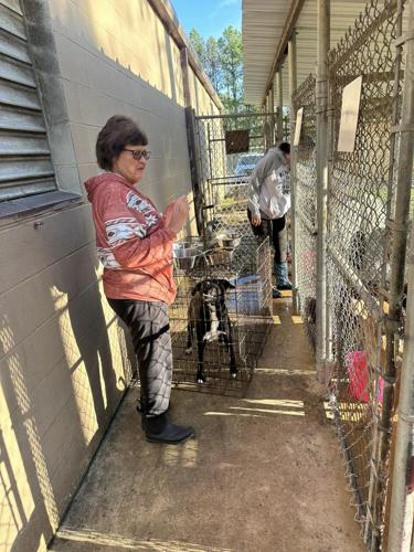 Mayor Weldon lends a hand at the shelter | Photos & Videos | malvern ...