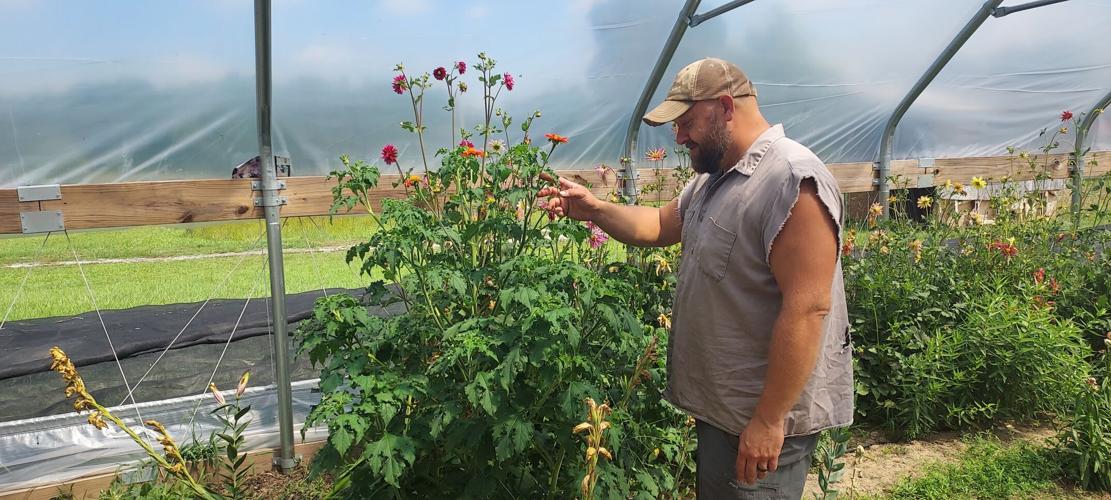 Vail Family Farm | Photos & Videos | malvern-online.com