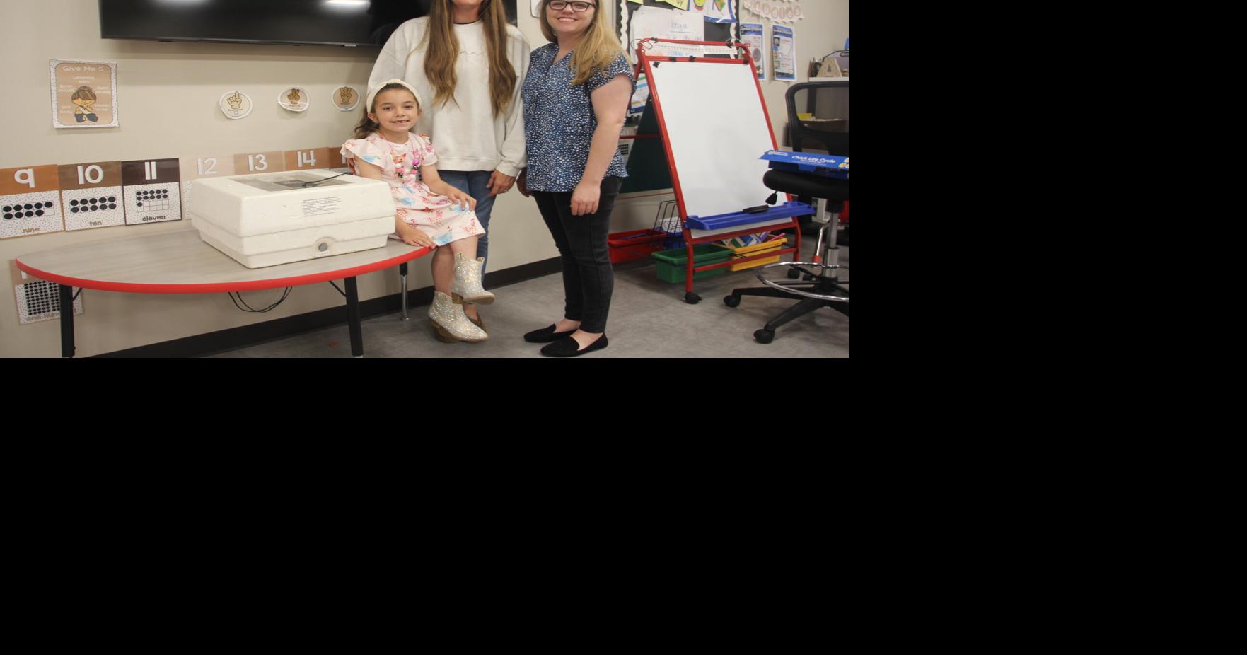 Chickens hatching in the classroom at MC Elementary | Photos & Videos ...