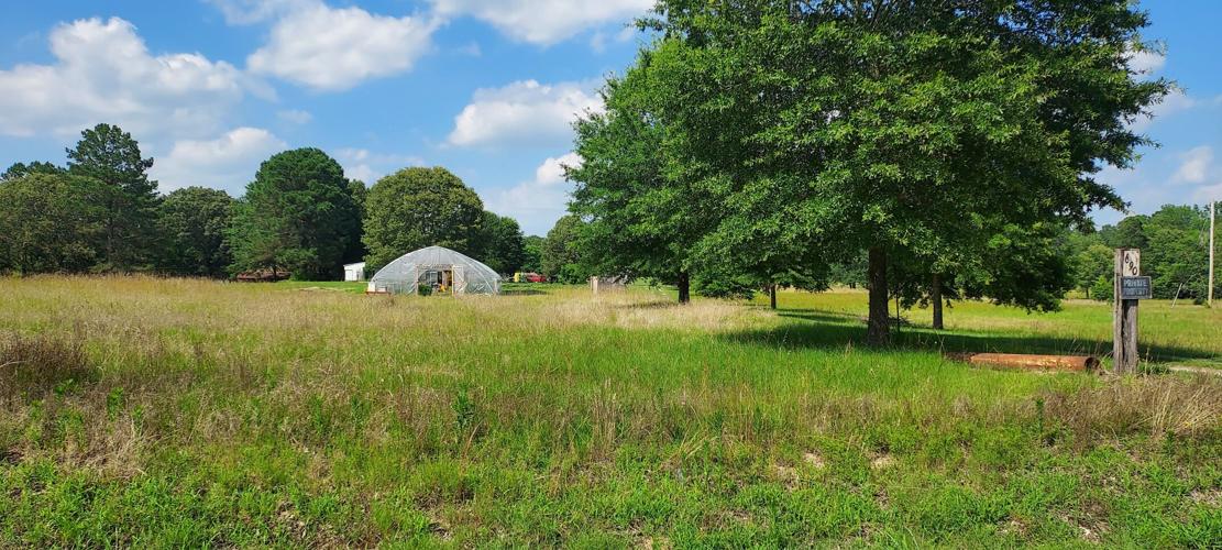 Vail Family Farm | Photos & Videos | malvern-online.com