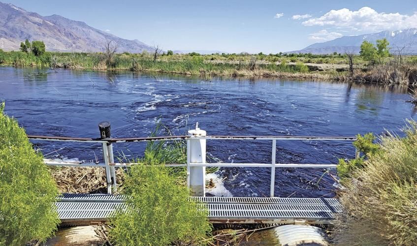 Lower Owens River Endured Huge Flows in 2023 | News | mammothtimes.com