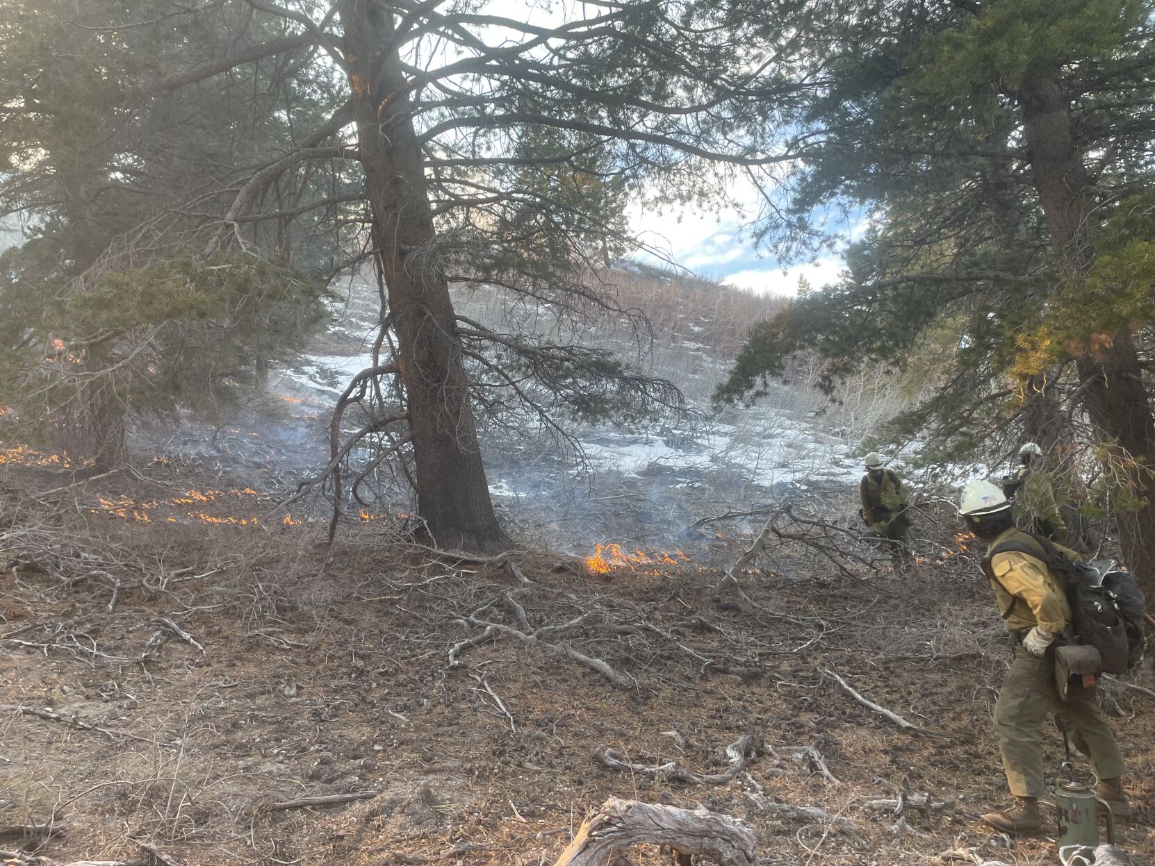 Crews getting closer to containing Sage Fire | News | mammothtimes.com
